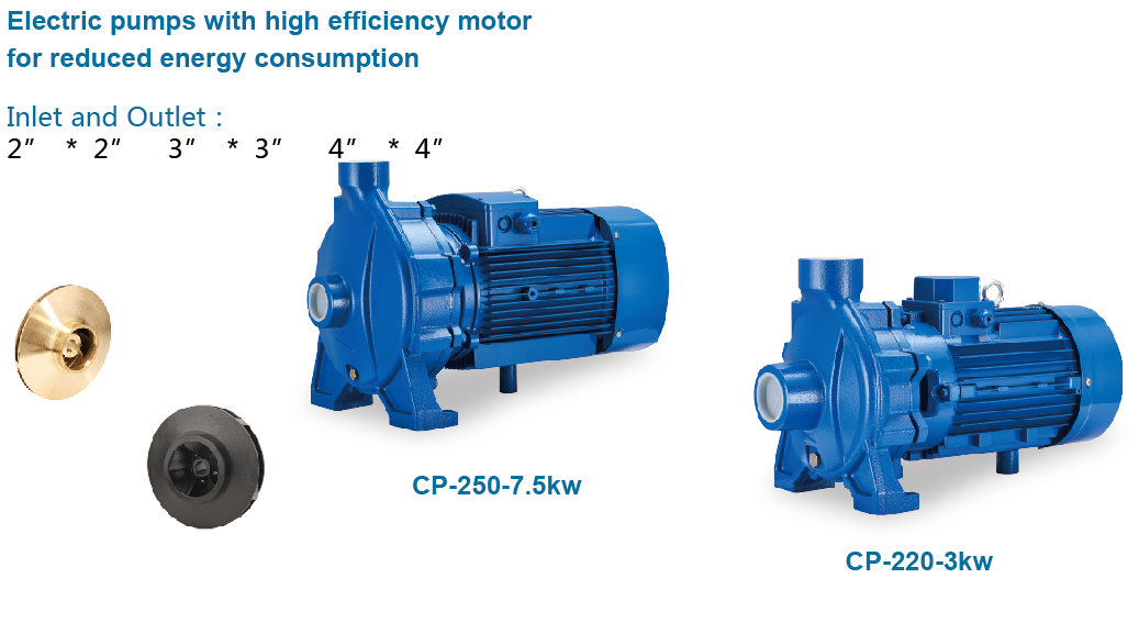 CP close-coupled centrifugal pumps with threaded ports - 浙江澳滨泵业有限公司